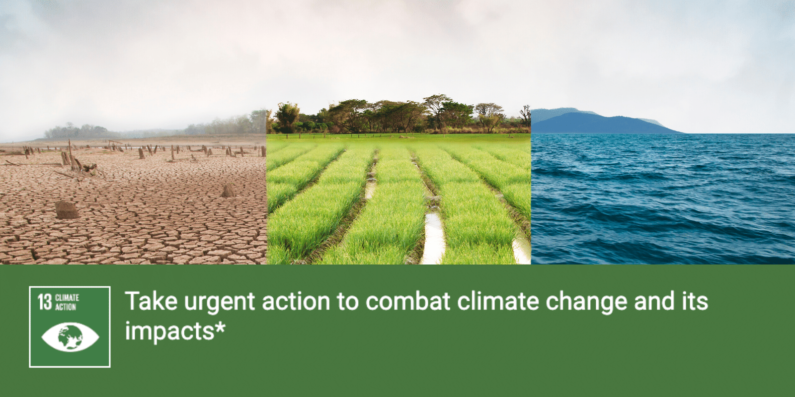 How Remote Work Supports UN Sustainable Development Goal No. 13 of ...