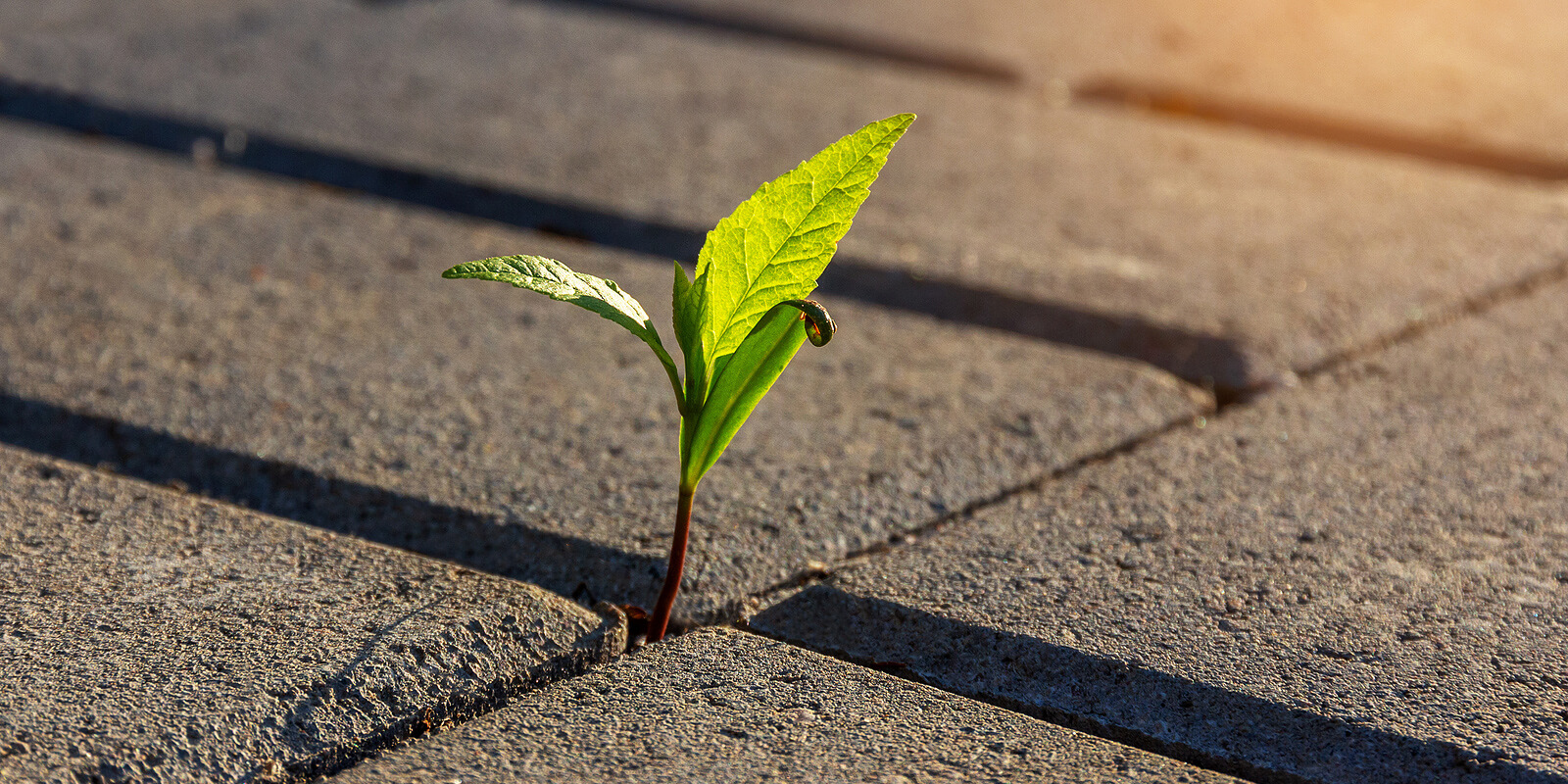 6 Steps to Break Out of a Bad Career | FlexJobs